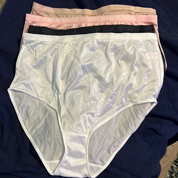 Breezies Intimates And Sleepwear Breezies Set Of 4 Nylon Brief Panty